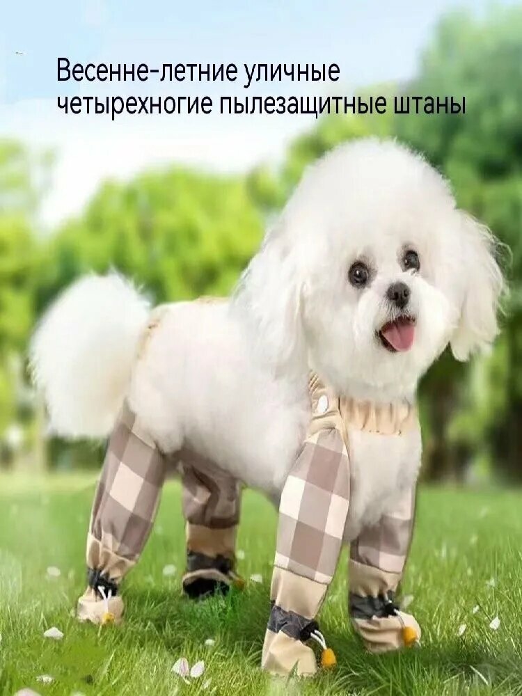Бахилы для собак