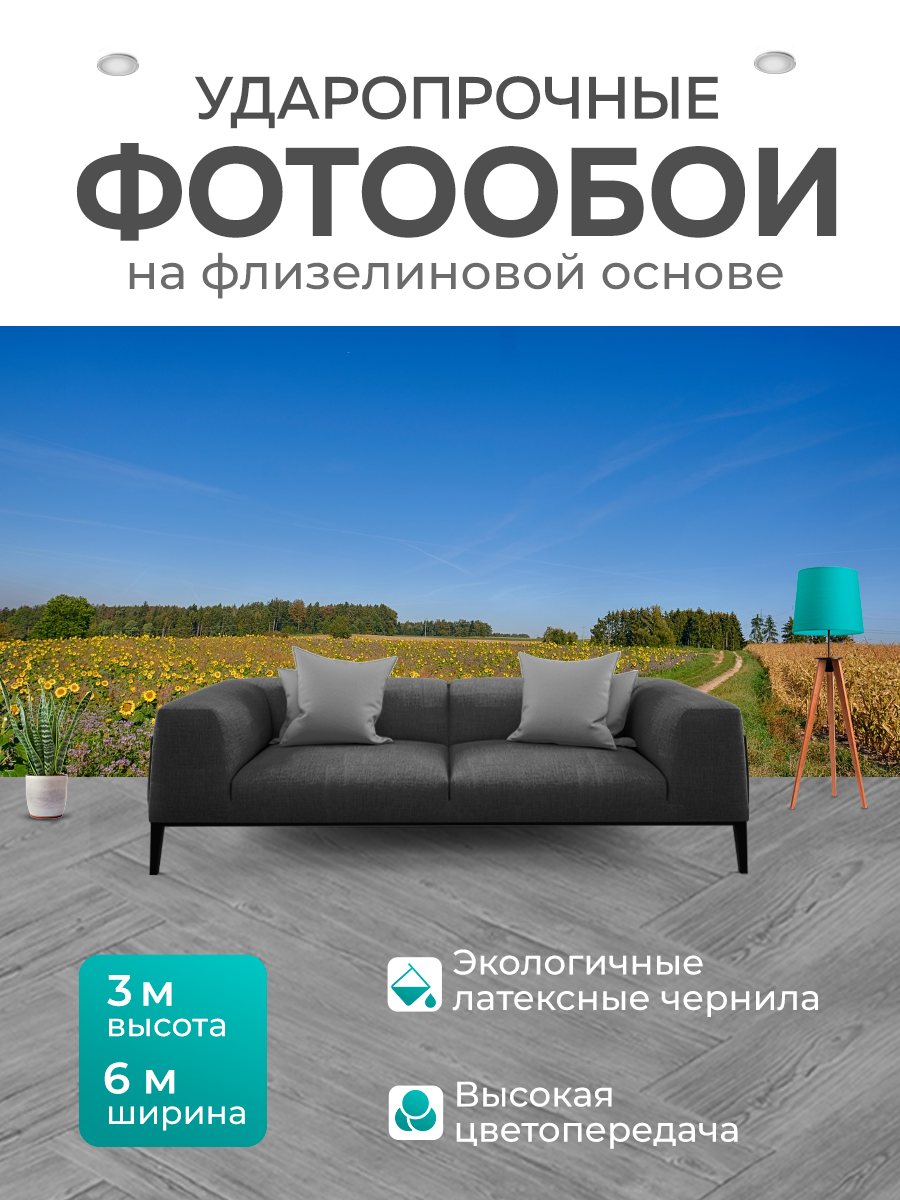 Фотообои моющиеся ударопрочные "Дорога, грязная дорога, дорожка" 600x300 см. флизелиновые на стену