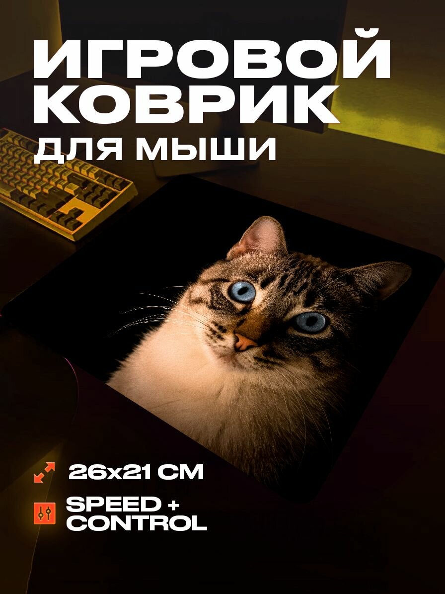 Коврик для мыши кот кошка котёнок большой игровой 26 21