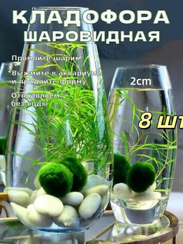 Кладофора шаровидная мох маримо (Aegagropila linnaei) 1-2cm 8шт.