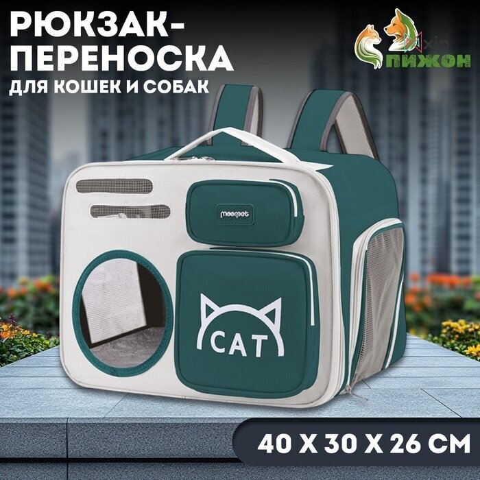Рюкзак для переноски «Котик», прозрачный, 40×30×26 см, серо-зелёный