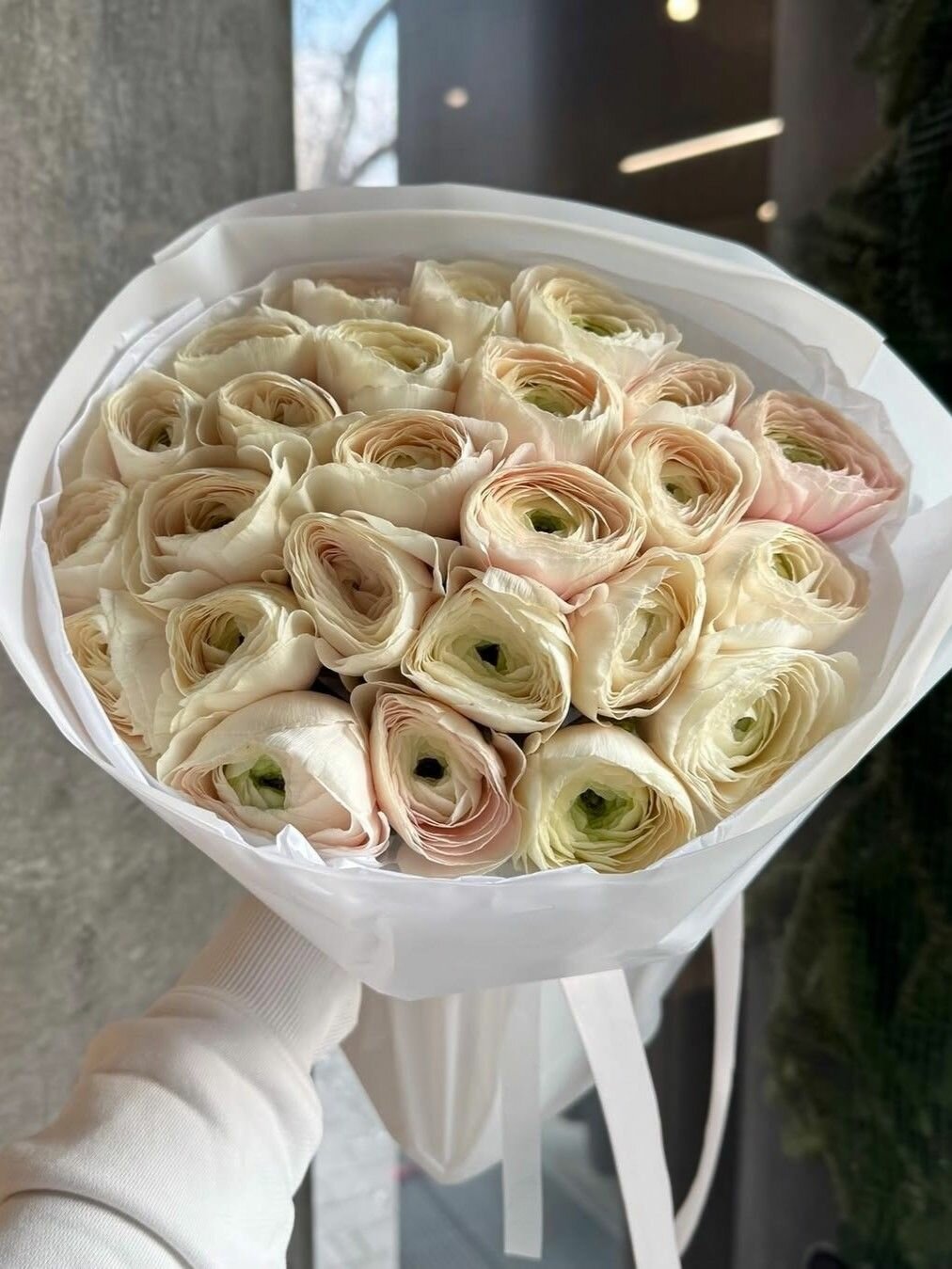 Ранункулюс Ханой 25 шт.