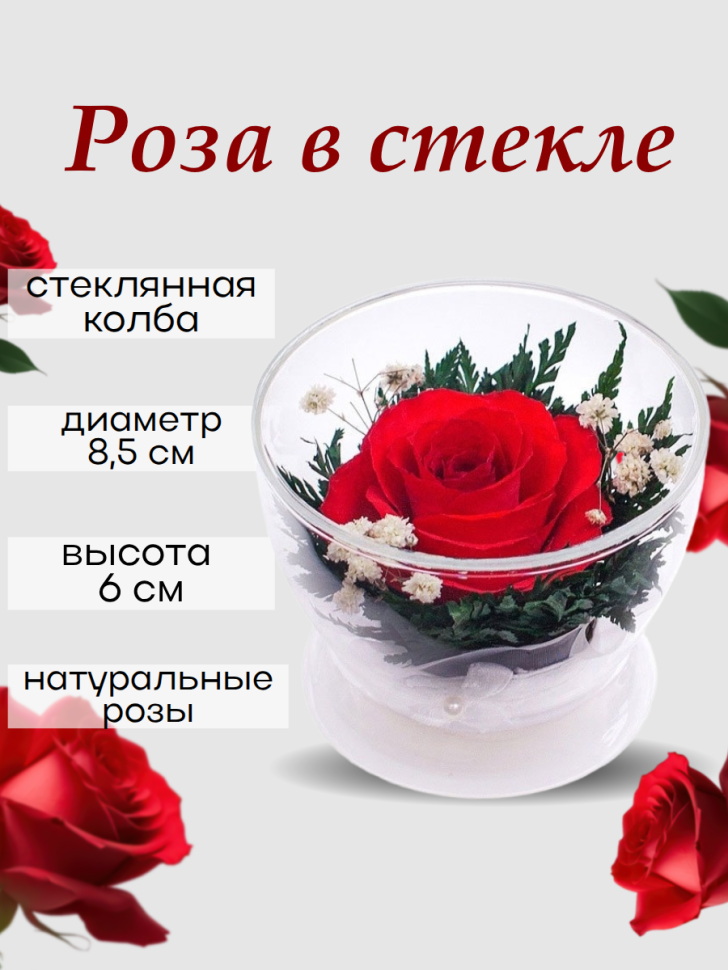 Роза в стекле (8,5 см) Натуральные стабилизированные цветы в вакууме