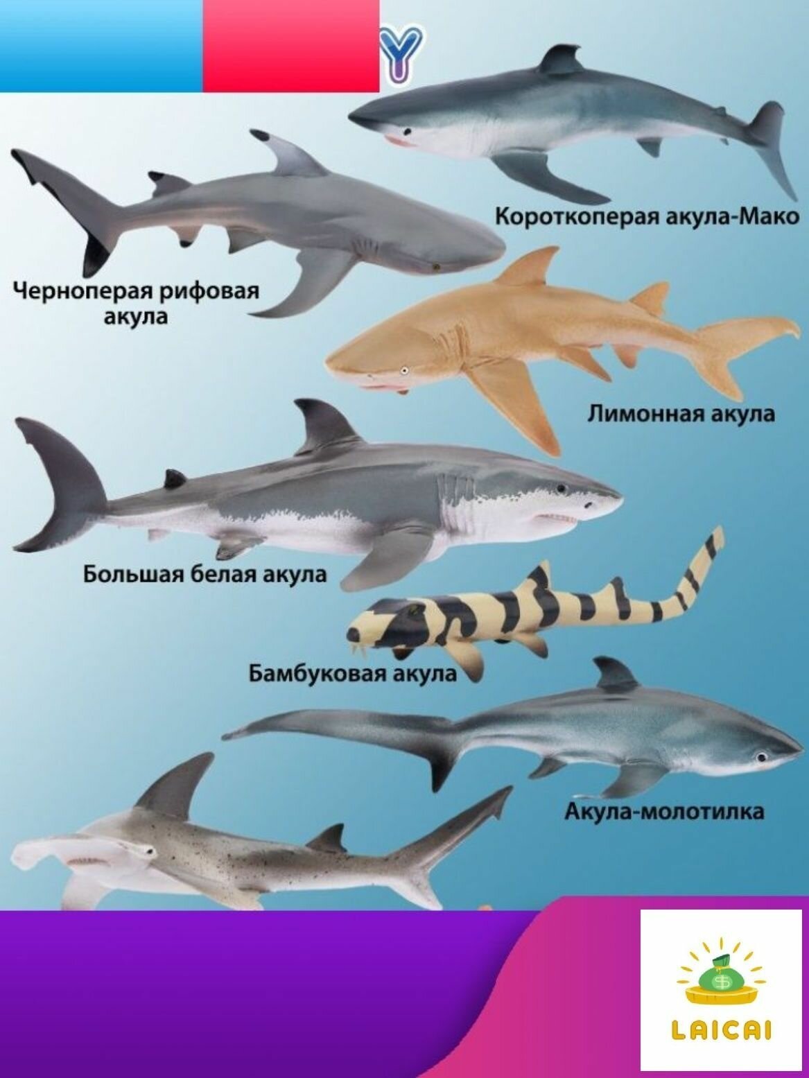 Эксклюзивный набор коллекционных фигурок акул, 8 морских животных от Toymany