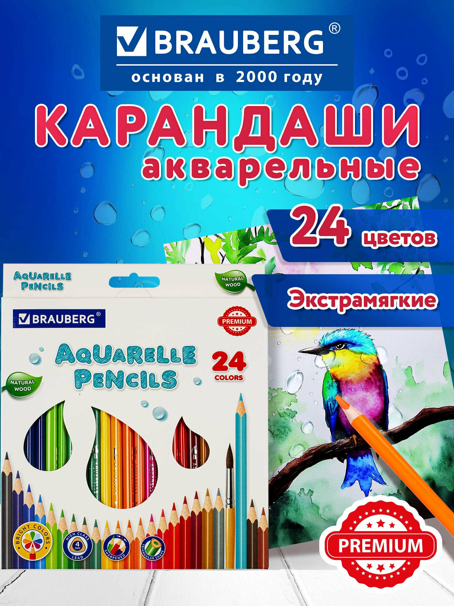 Карандаши цветные акварельные Brauberg Premium Aquarelle, 24 цвета, трехгранные, утолщенный грифель 4 мм, натуральное дерево, 181673