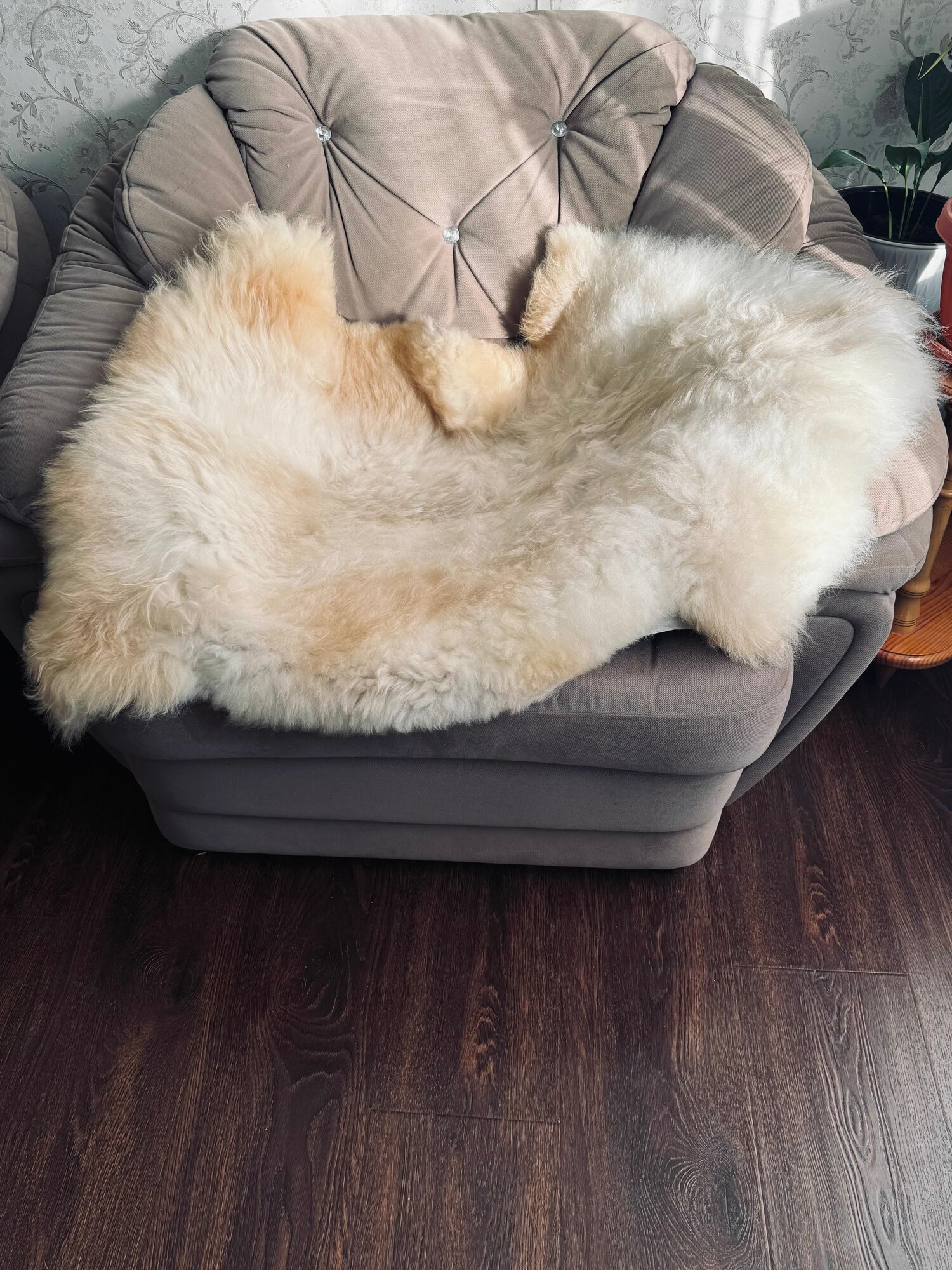 Ковер-накидка из натуральной овечьей шкуры (мех, овчина) для дома и авто