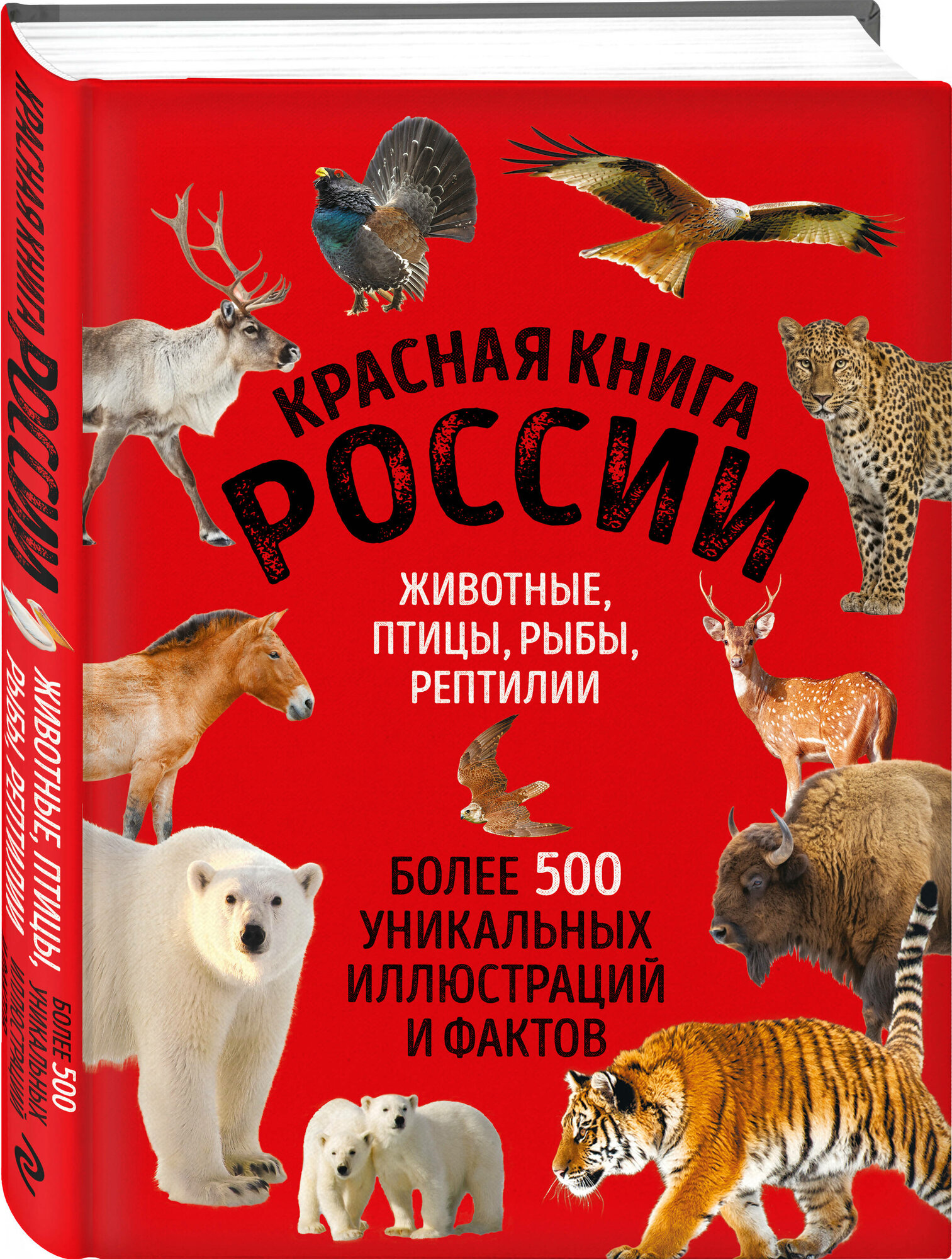 Добрыня Ю. М. Красная книга России. Большой формат. Более 500 уникальных иллюстраций и фактов (новое издание) (основной)