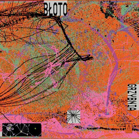 Bloto - Grzybnia - новая виниловая пластинка