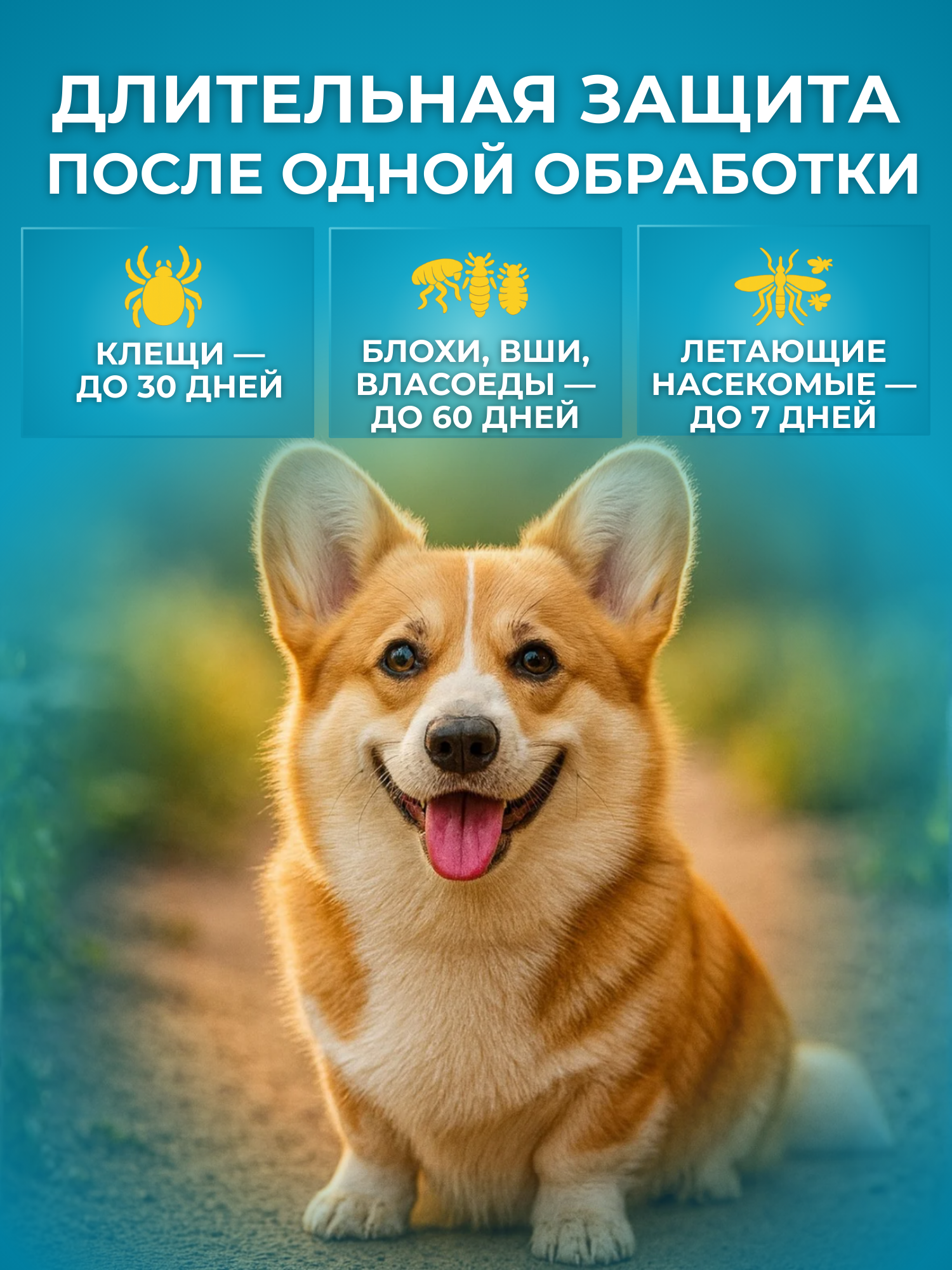 Protecto (Протекто) Капли для собак 10-25кг 2,5мл 2 шт от блох и клещей — фото 1
