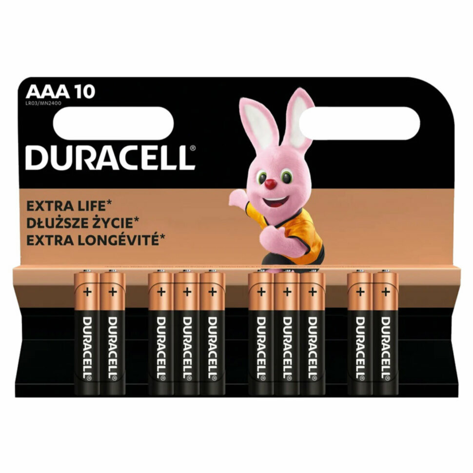 Батарейки комплект 10 шт, DURACELL Basic оригинал, AAA (LR03, 24А), алкалиновые, мизинчиковые, 456787