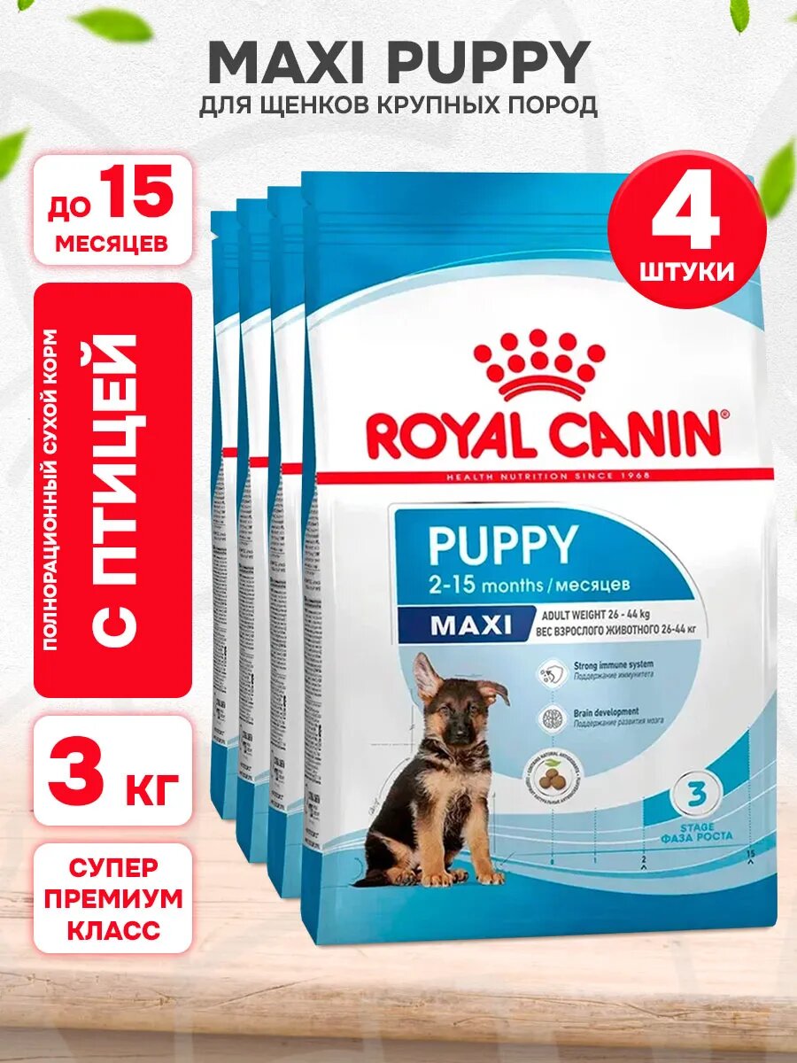 Корм сухой Royal Canin Maxi Puppy для щенков крупных пород в возрасте до 15 месяцев, 3 кг х 4 шт