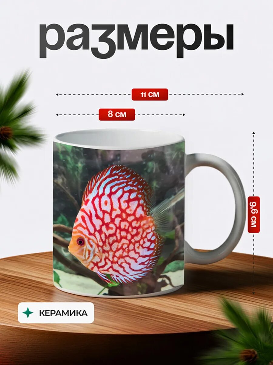 Кружка Дискус рыбка 3, — фото 1