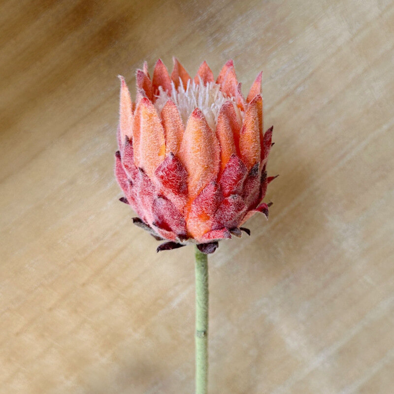 Имперский цветок, искусственный цветок, одиночная ветка, нордический чертополох, простое домашнее украшение, свадебный декор, имперский цветок, кросс-бордер, искусственный цветок