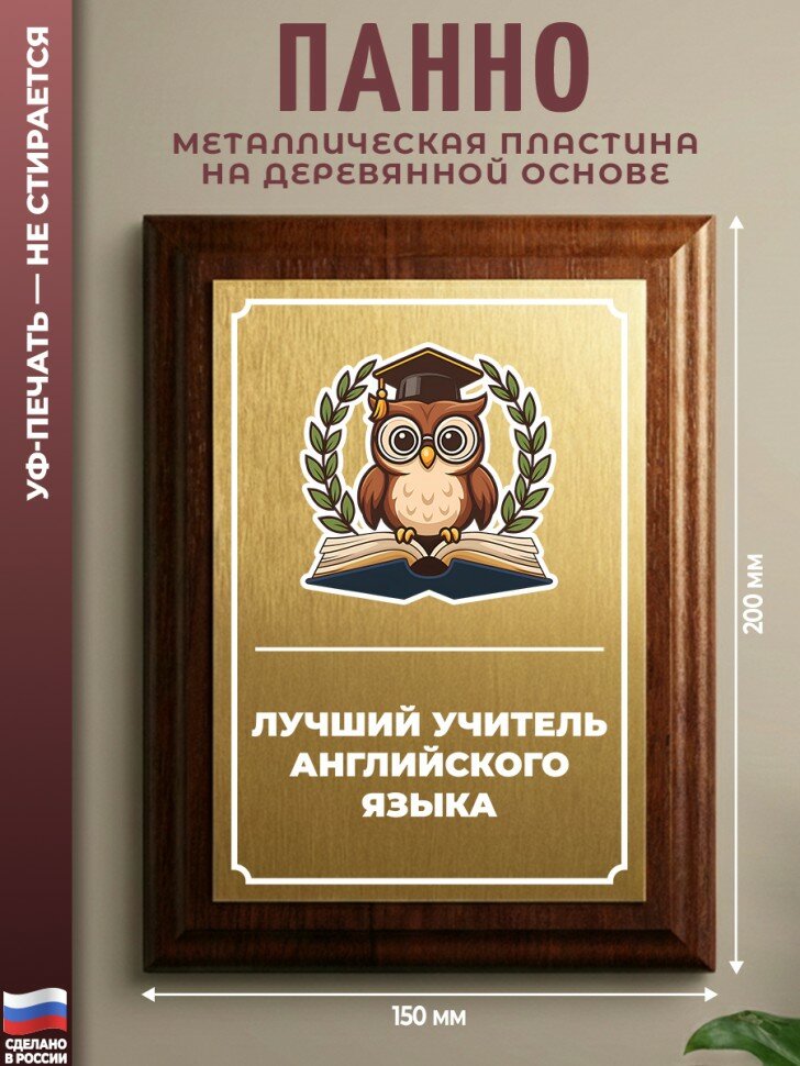 Настенный диплом "Лучший учитель английского языка"