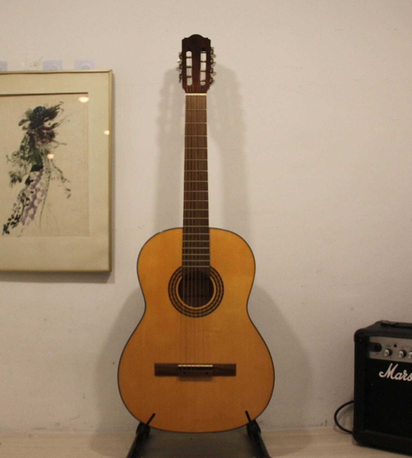 Классическая гитара Hora N1010-4/4 (1)