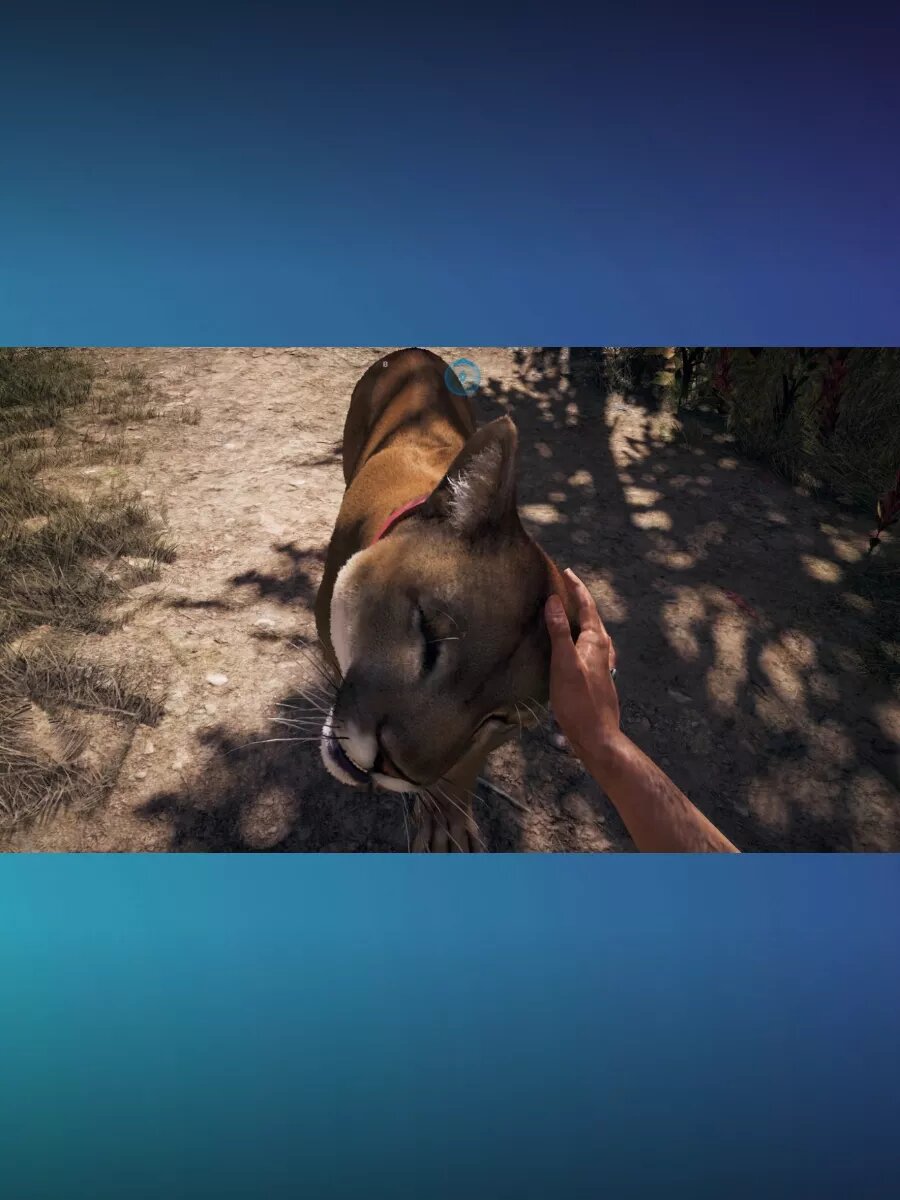 (Xbox One) Far Cry 5 — фото 1