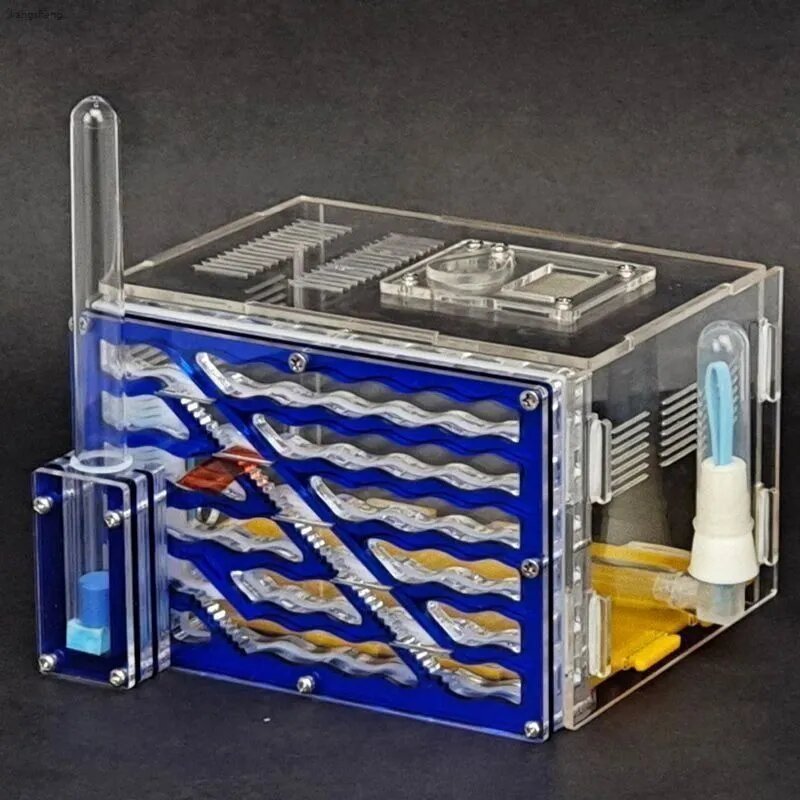 Муравьиная Ферма Большая