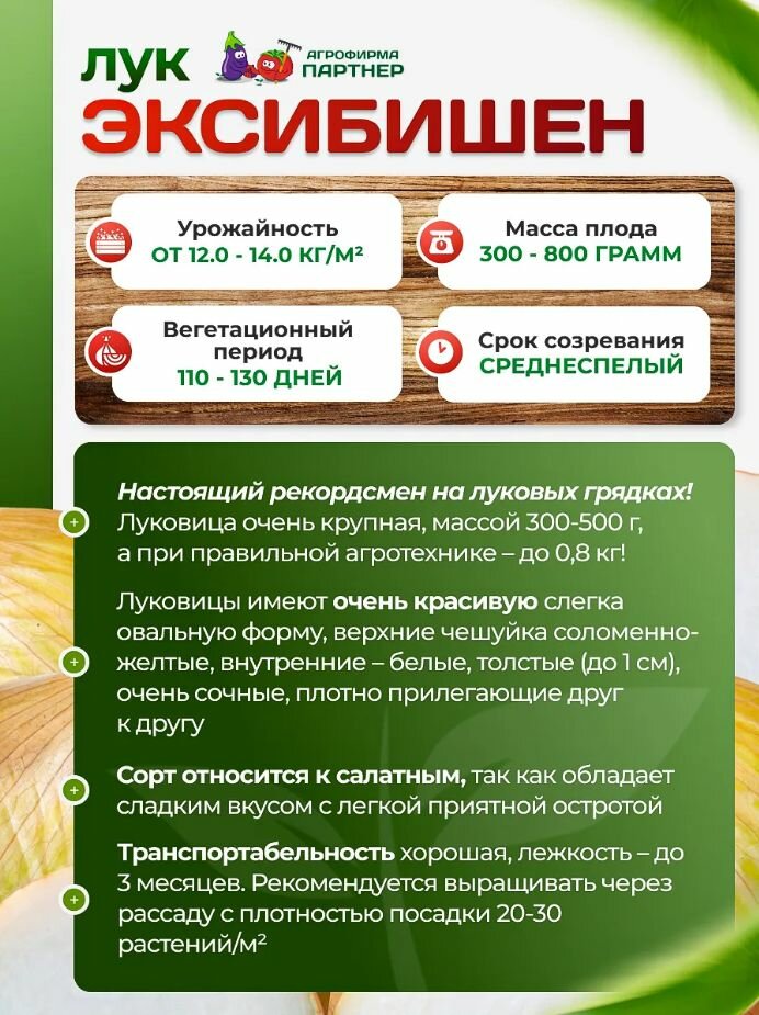 Семена лука Эксибишен — фото 1