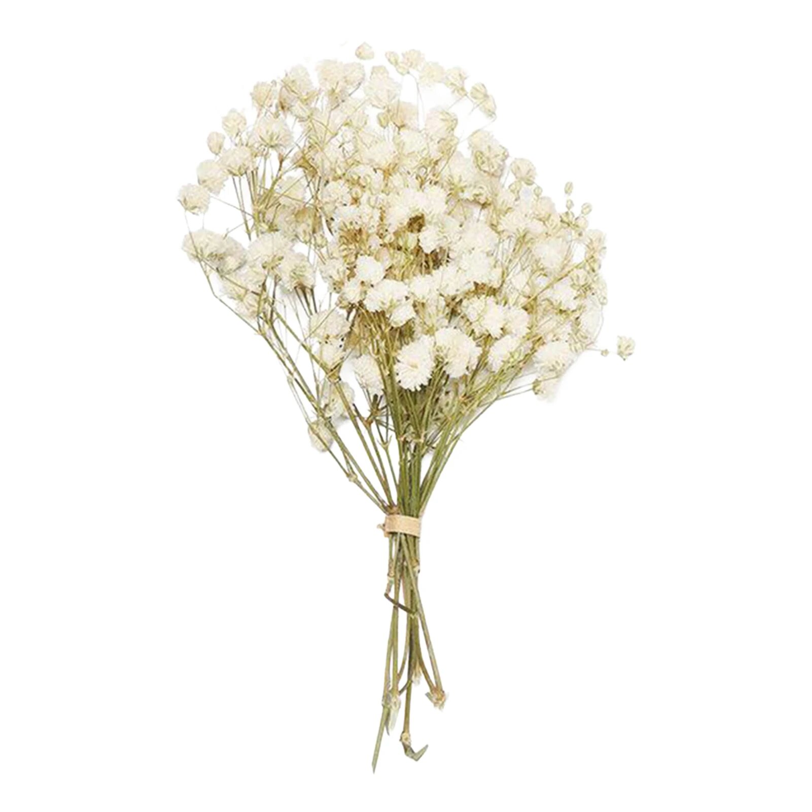 Стабилизированный мини-букет гипсофилы и лаванды для декора