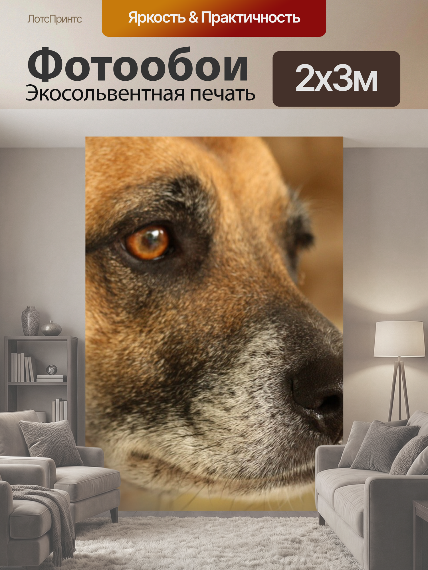 Фотообои "Собака, дворняга, гибрида" 200x300 см. экосольвентная печать