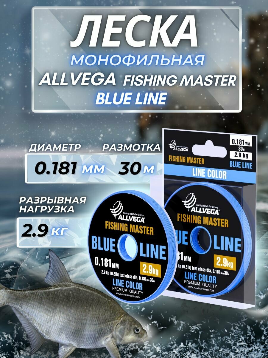 Леска для зимней рыбалки Fishing Master 0.181мм 30м 2.9кг голубая