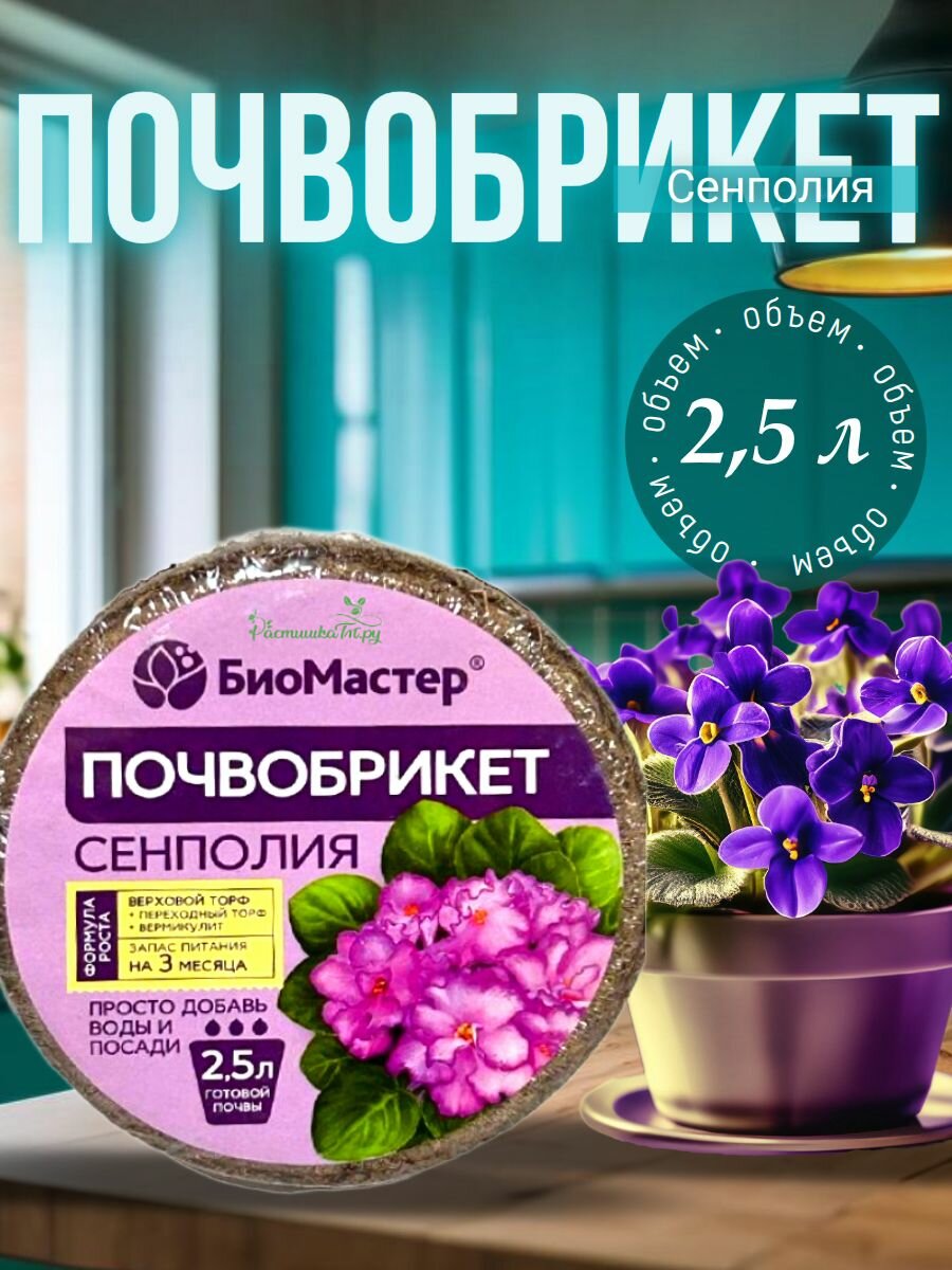 Почвобрикет Сенполия круглый БиоМастер 2,5 л