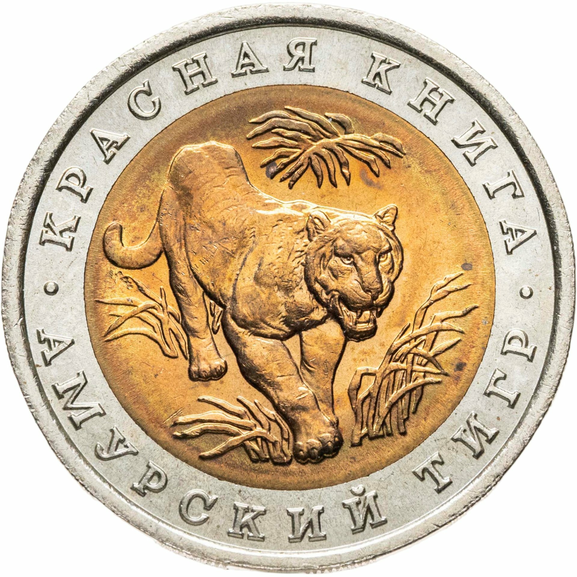10 рублей 1992 ЛМД "Амурский тигр", Биметалл, в сохранности AU-UNC