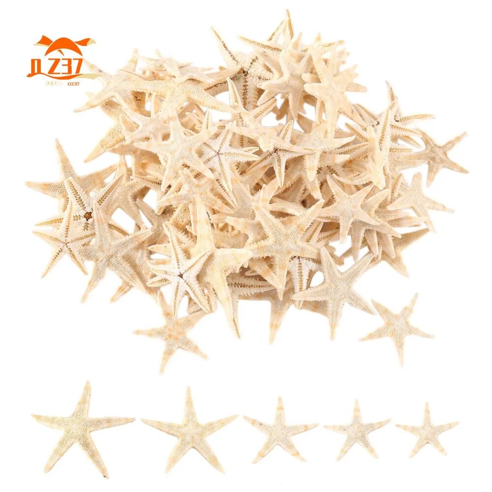 (P C G W) Маленькая морская звезда Star Sea Shell Beach Craft 0,4-1,2 дюйма 90 шт.