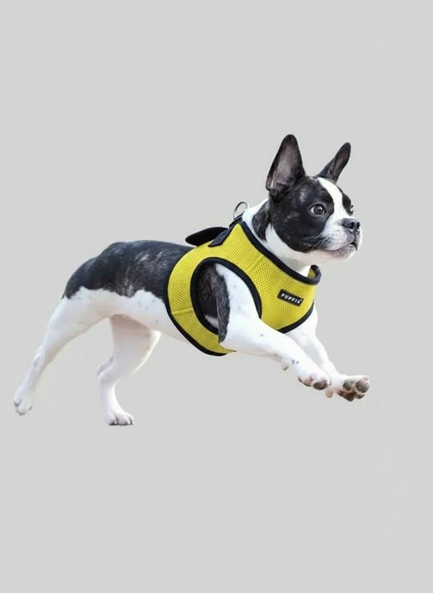 Шлейка для собак "Soft Vest", желтая, XS PUPPIA