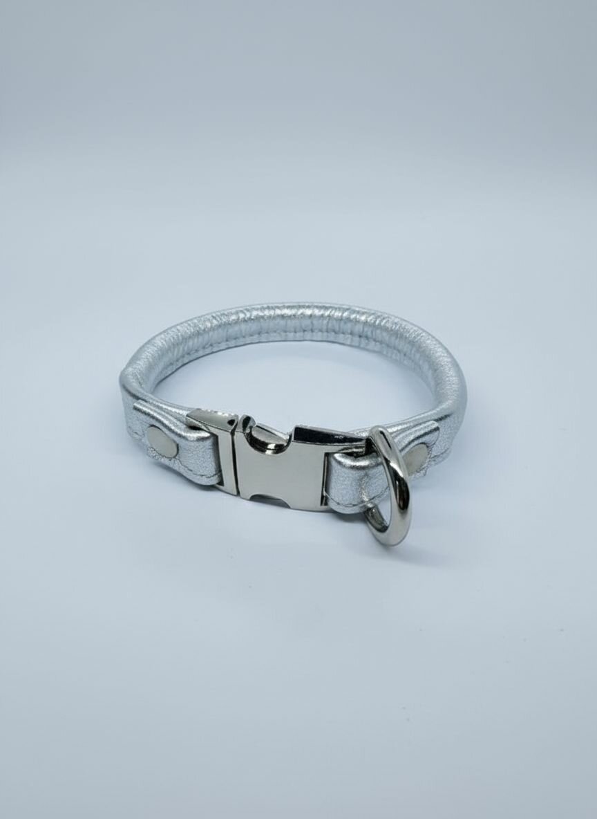 Ошейник круглый для собак мелких пород круглого сечения Astarta dog