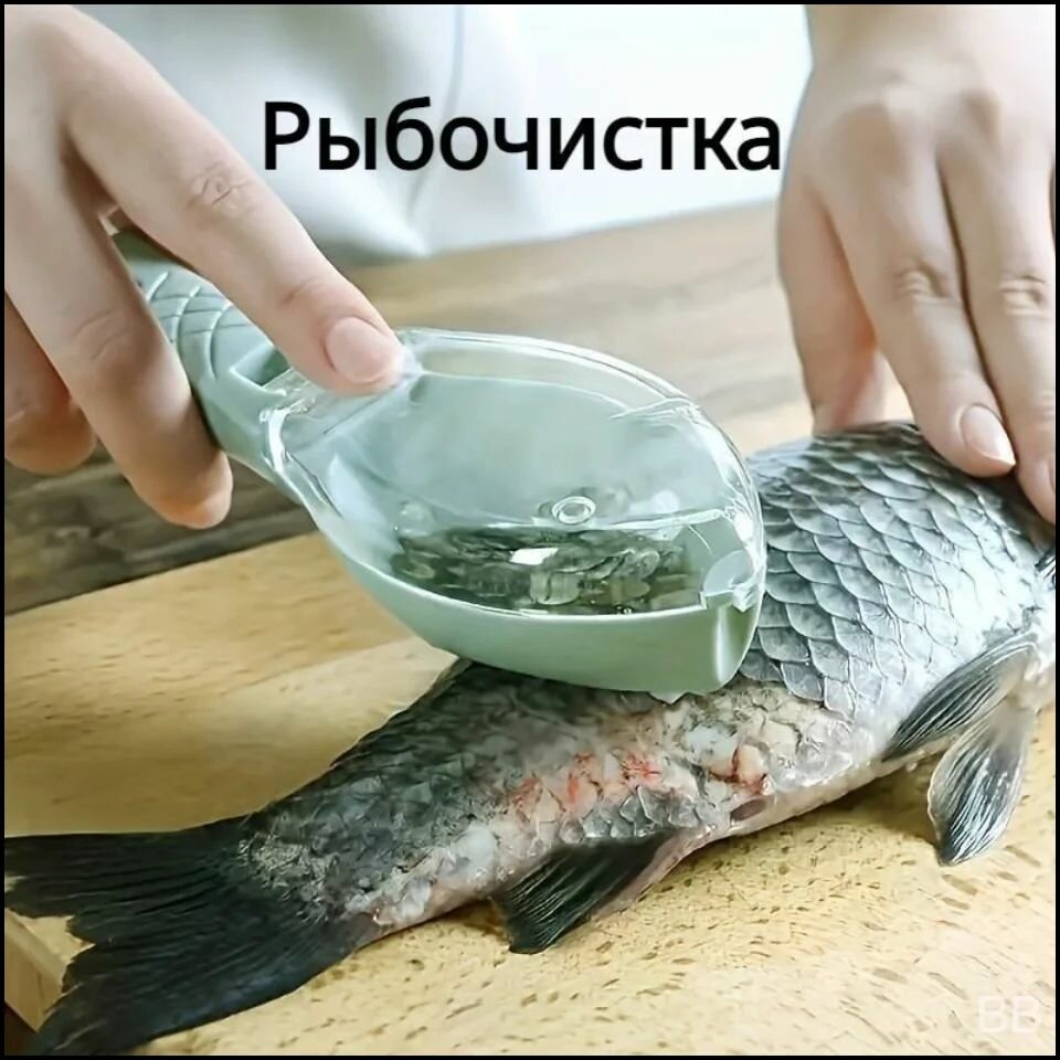 Рубанок Для Рыбной Чешуи С Крышкой Инструмент Для Убийства Рыбы