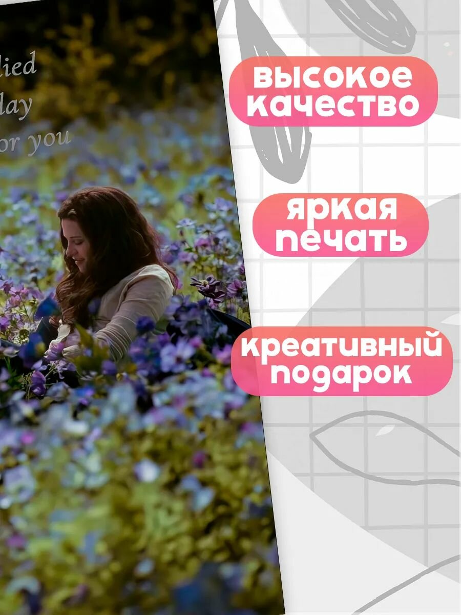 Постер на стену Сумерки, плакат 1шт, А3 размер. — фото 1