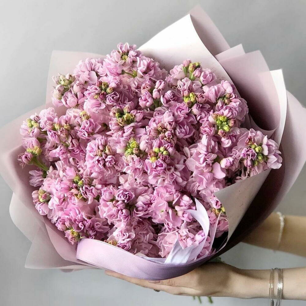 Букет ароматной Маттиолы 19 шт