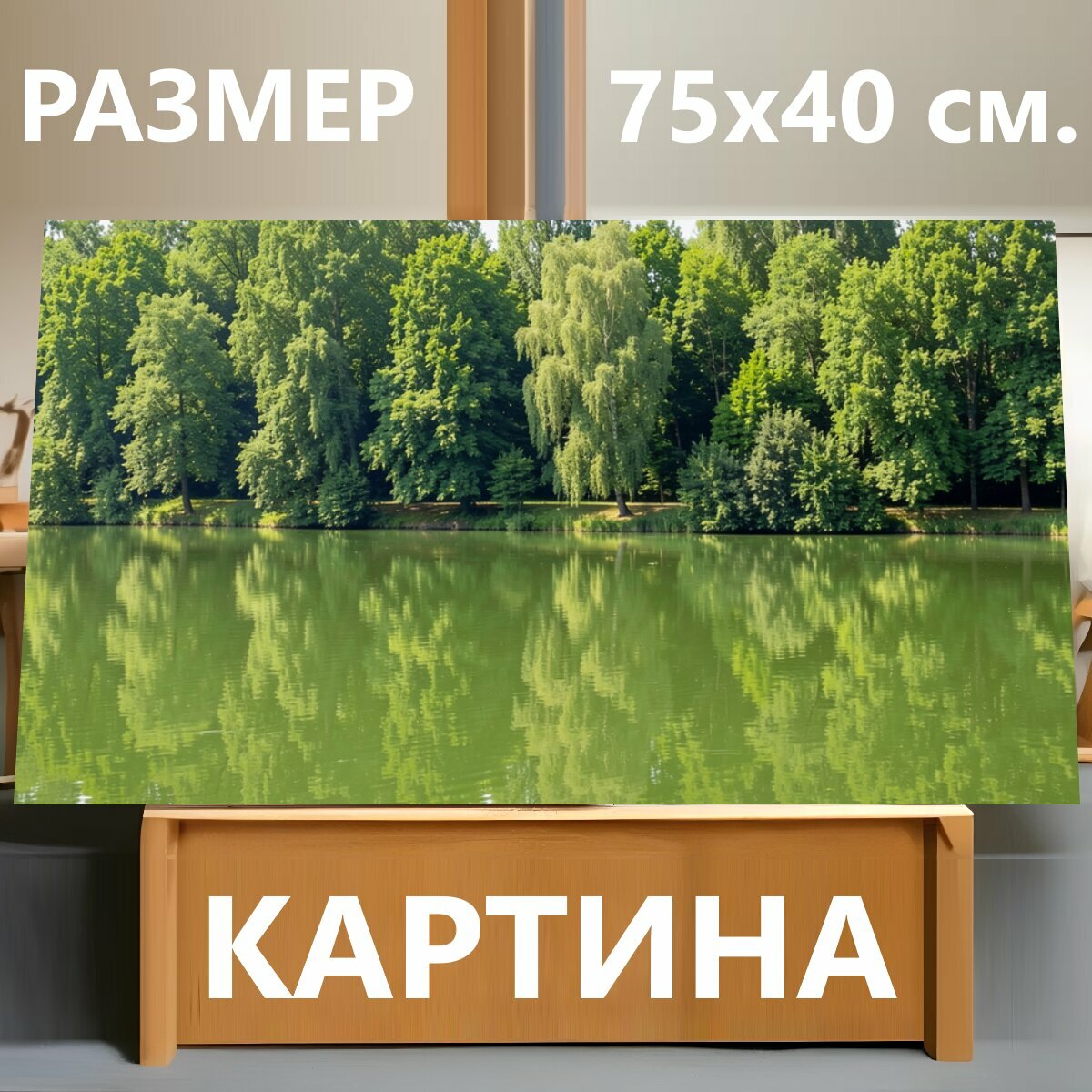 Картина на холсте "Лесное озеро с отражением деревьев. Спокойная природная сцена у водной глади: густая зелень, высокие деревья, мягкое летнее." на подрамнике 75х40 см. для интерьера