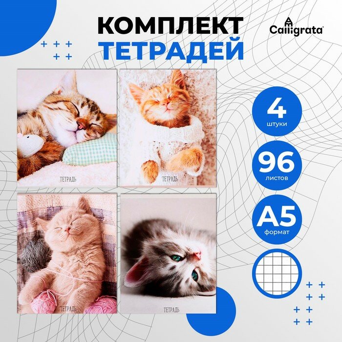 Тетради 4 штуки, 96 листов в клетку Calligrata «Котики», обложка мелованный картон, блок офсет