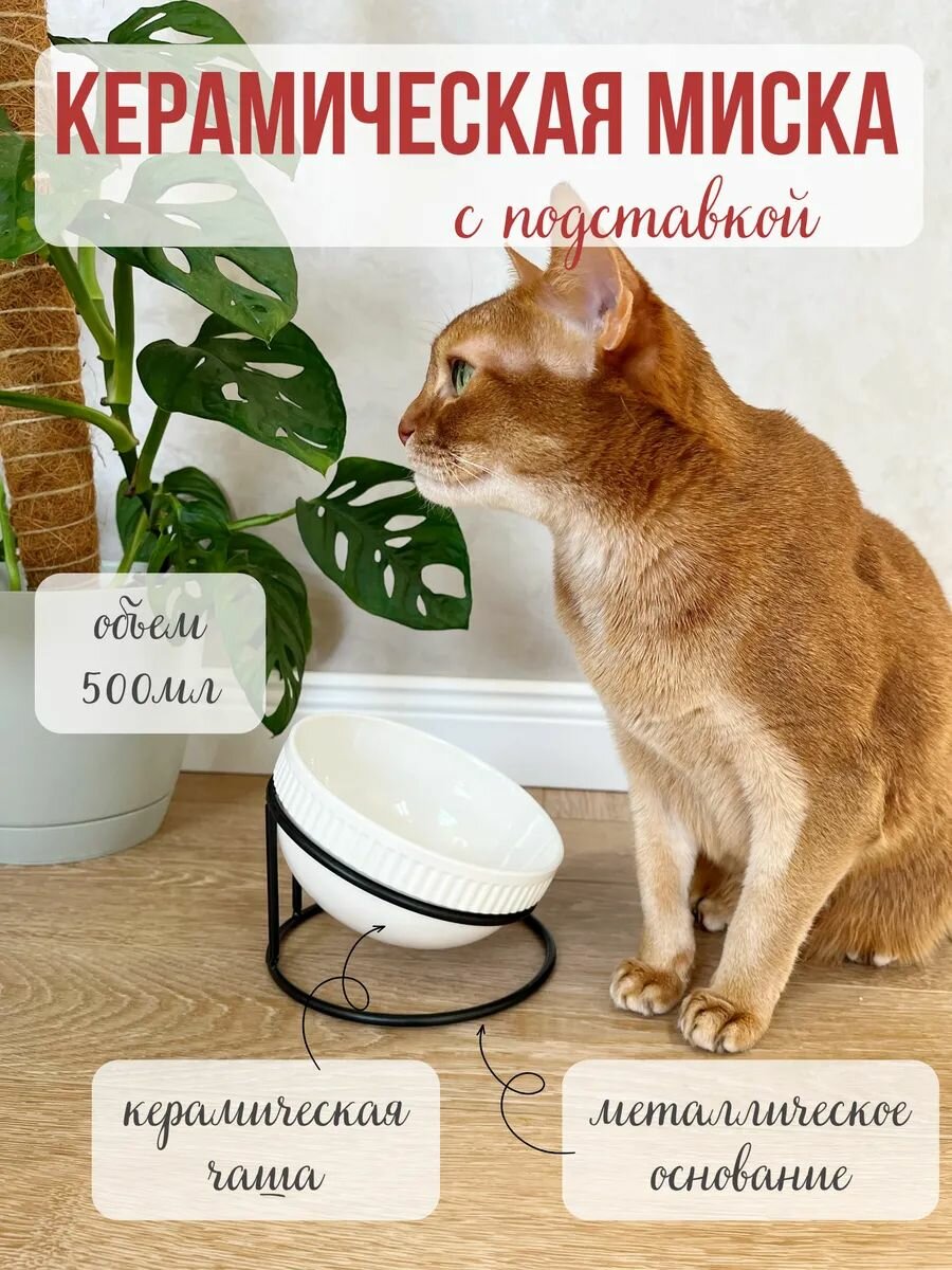 Миска для животных