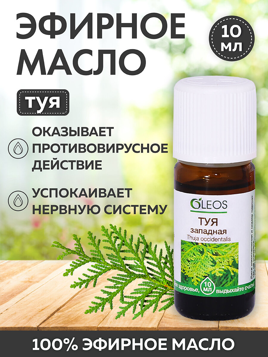 Эфирное масло Туи западной для аромалампы, бани и сауны, 10 мл