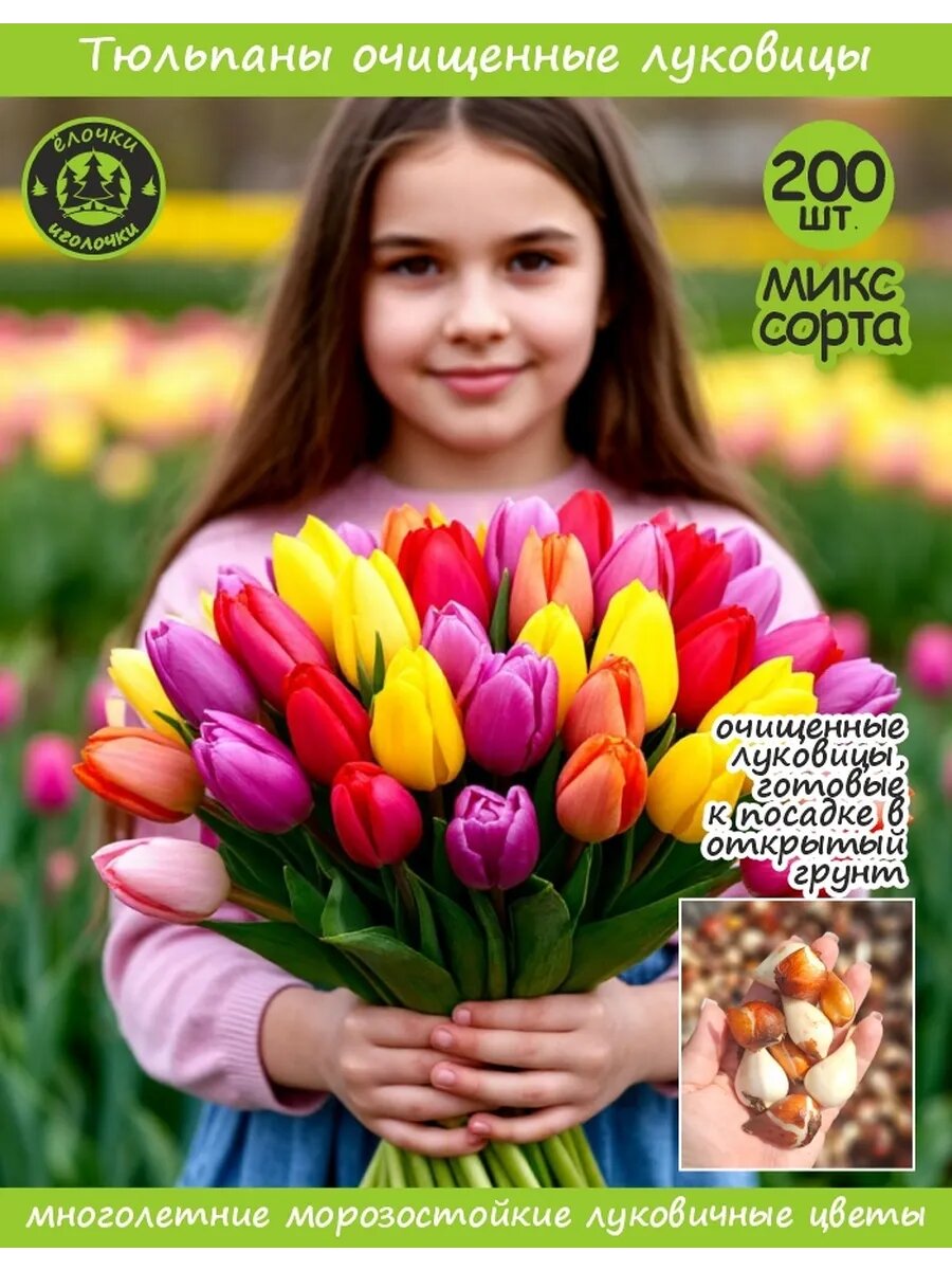Тюльпан Луковицы, Микс сортов, 200шт