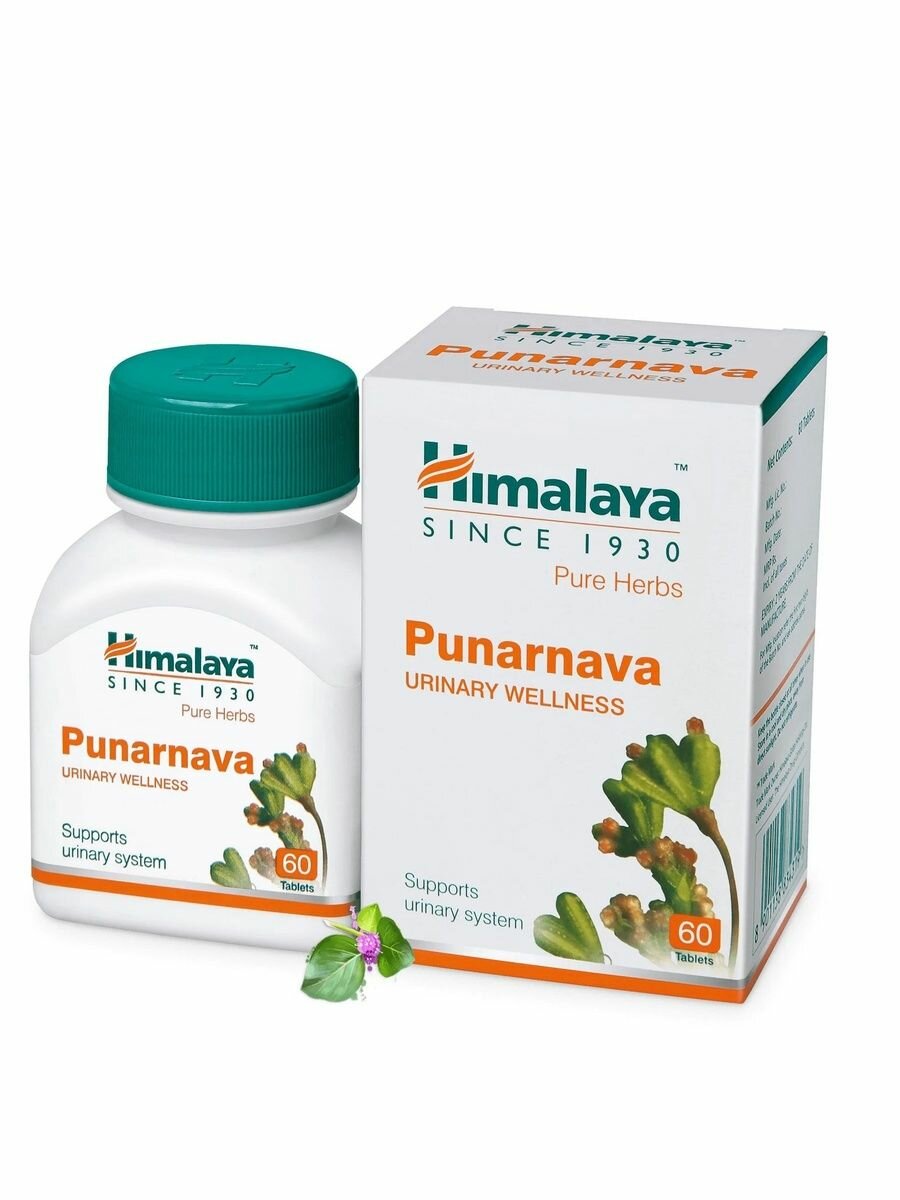 Пунарнава Гималая, Punarnava Himalaya Herbals, пищевая добавка для здоровья почек, 60 таб.