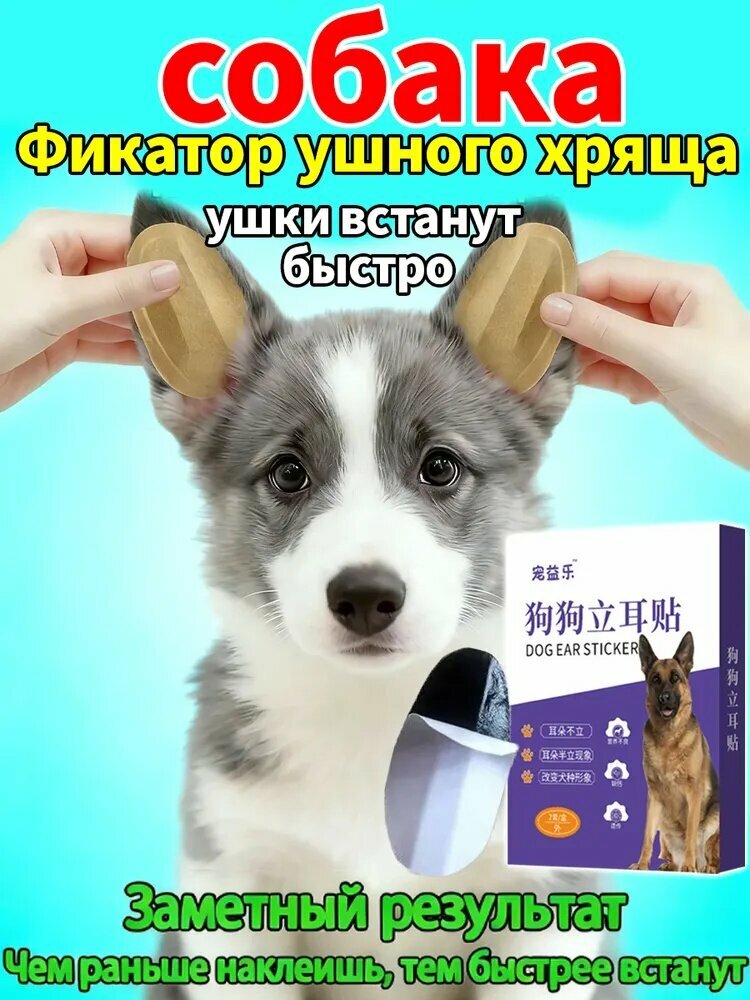 Наклейки для Стабилизации Вертикально Стоящих Ушей Добермана