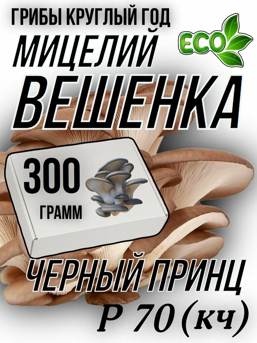 Семена вешенки "Черный принц" 300 гр