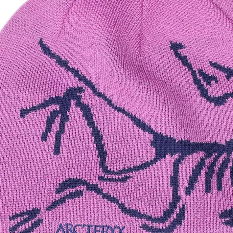 Шапка Arc'teryx для мужчин, размер ОС, pink — фото 1