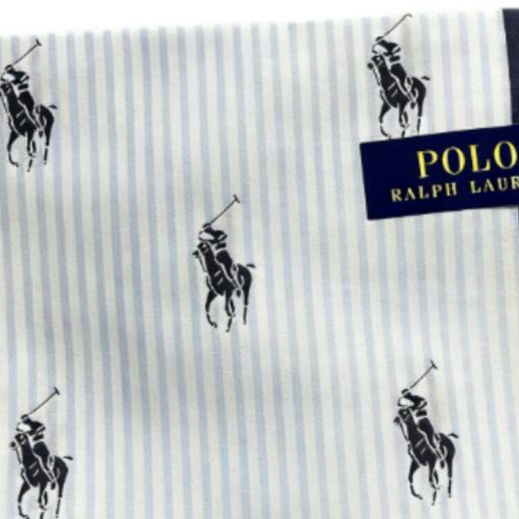 Шарф Polo Ralph Lauren для мужчин, one size, blue — фото 1