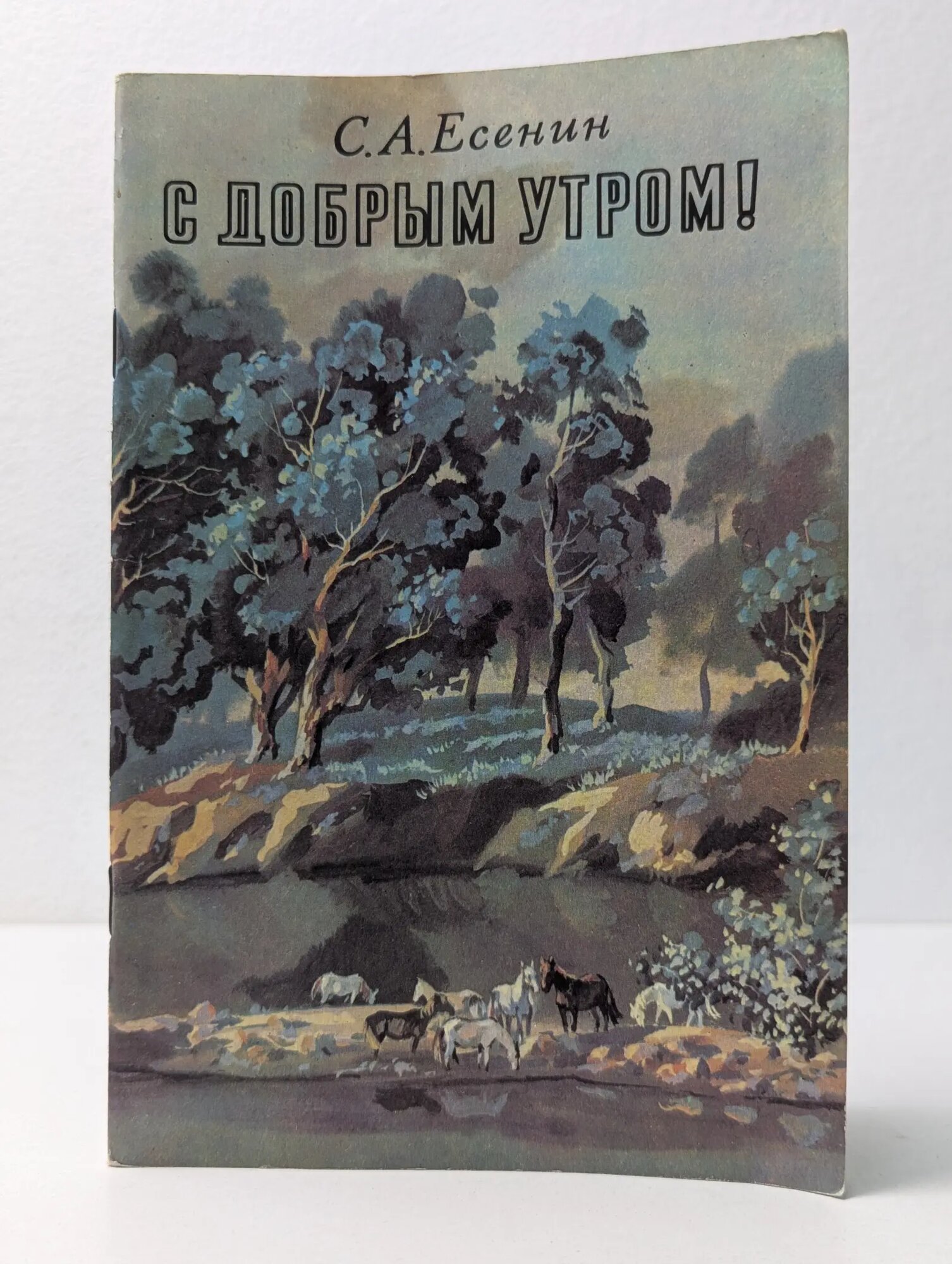 С добрым утром! Есенин Сергей Александрович 1984