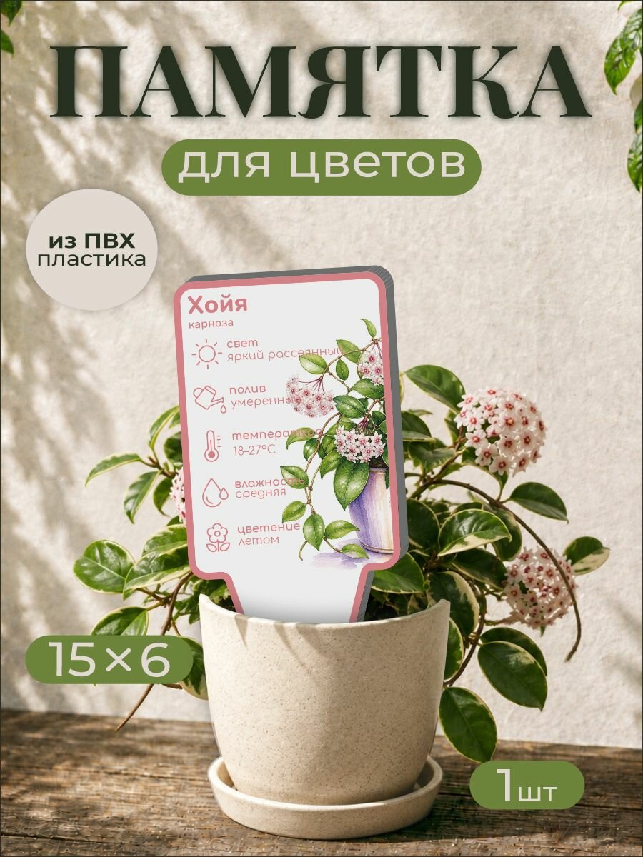 Фигурки для сада Хойя карноза