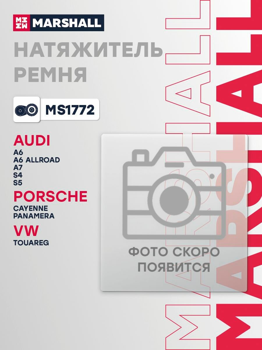 Натяжитель ремня Audi Ауди A4, A5, A6, A6 ALLROAD, A7, A8, Q5, Q7, Porsche Порше Cayenne Кайен, Volkswagen VW Фольксваген Touareg Туарег 95810236110