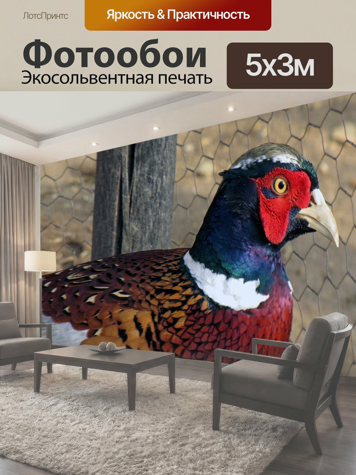 Фотообои "Фазан, птица, домашнее животное" 500x300 см. экосольвентная печать