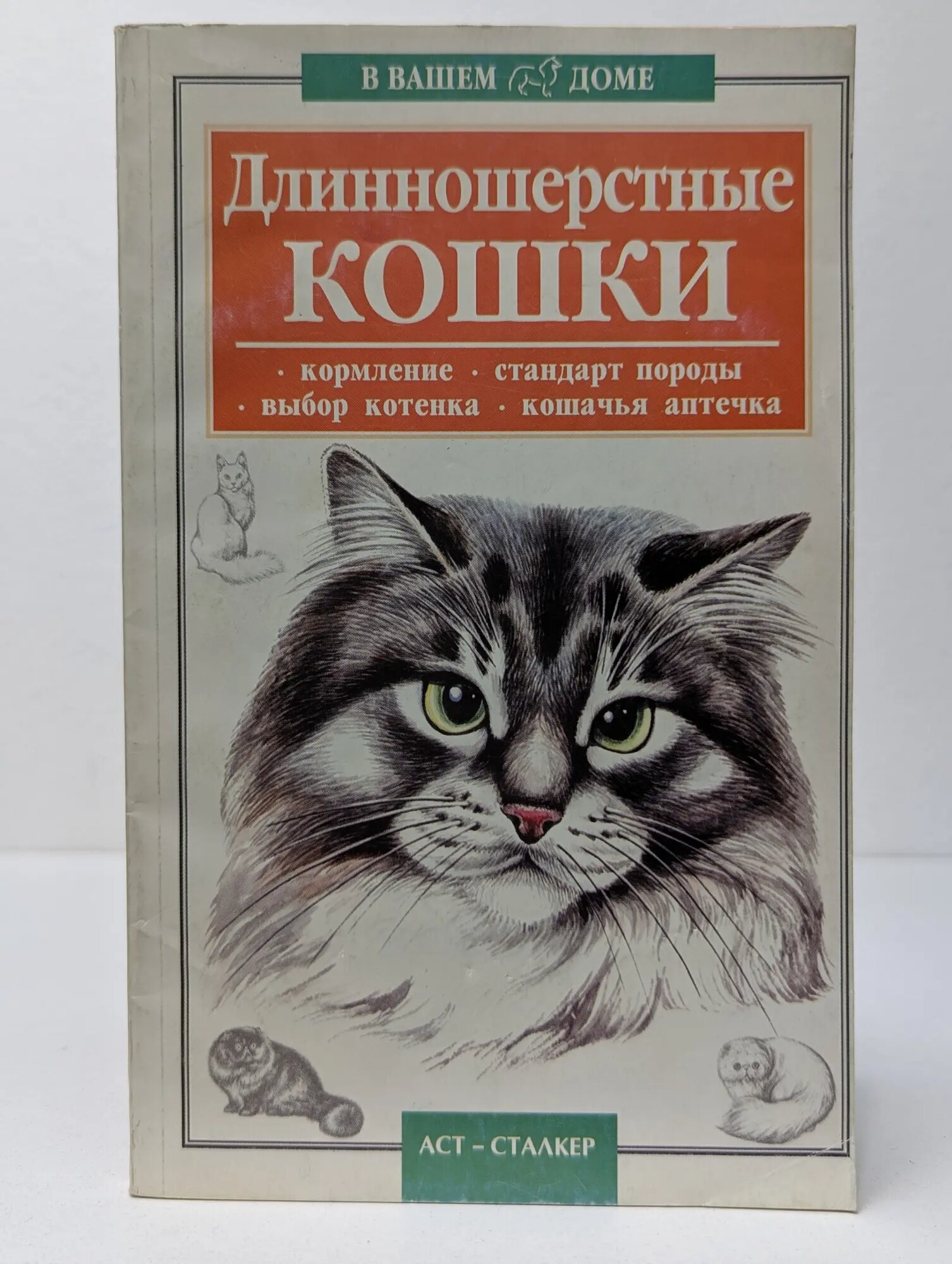 В вашем доме. Длинношерстные кошки Мельников Александр Юрьевич, Мельникова Наталья Анатольевна 2003