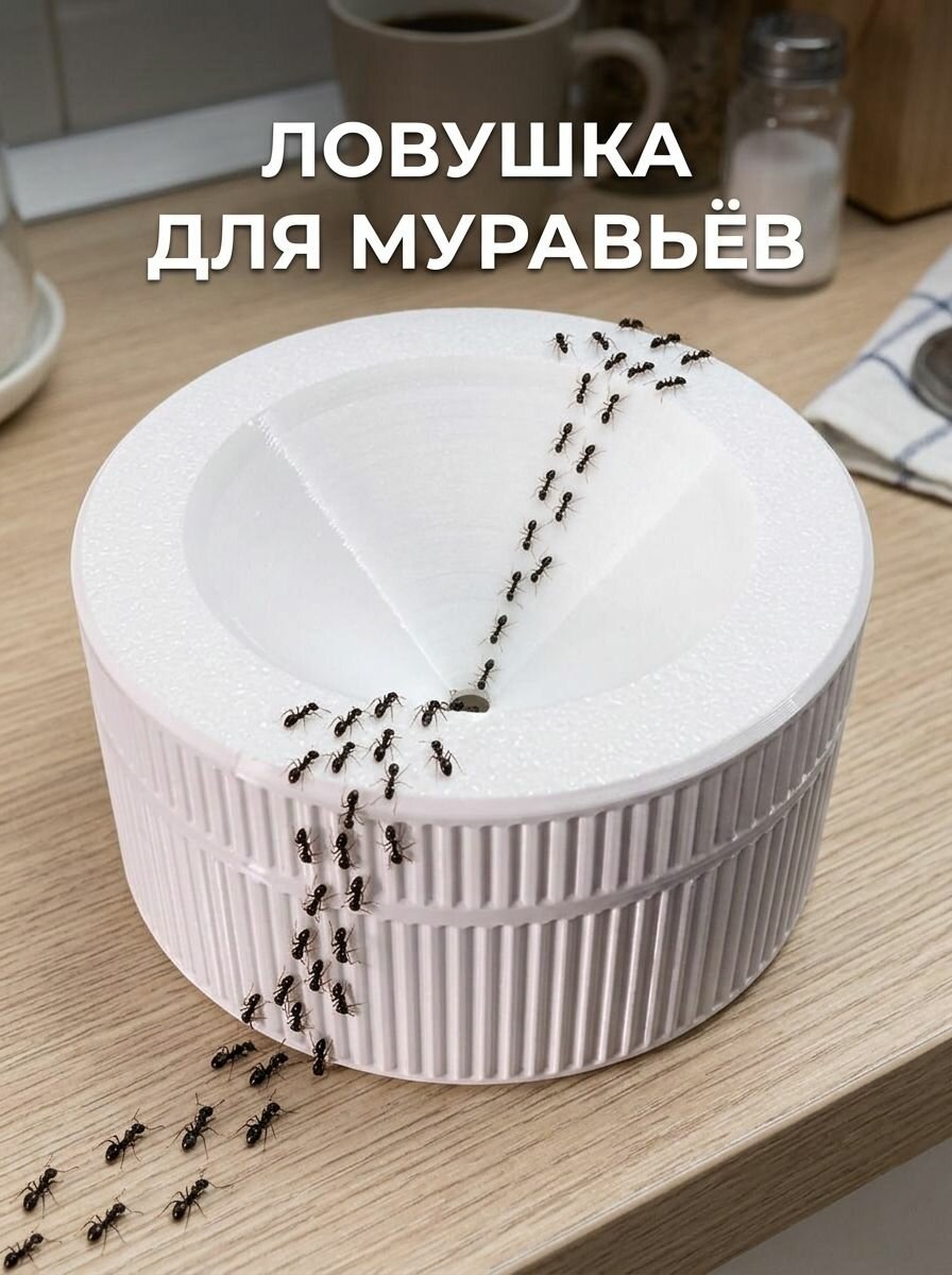 Ловушка для муравьёв