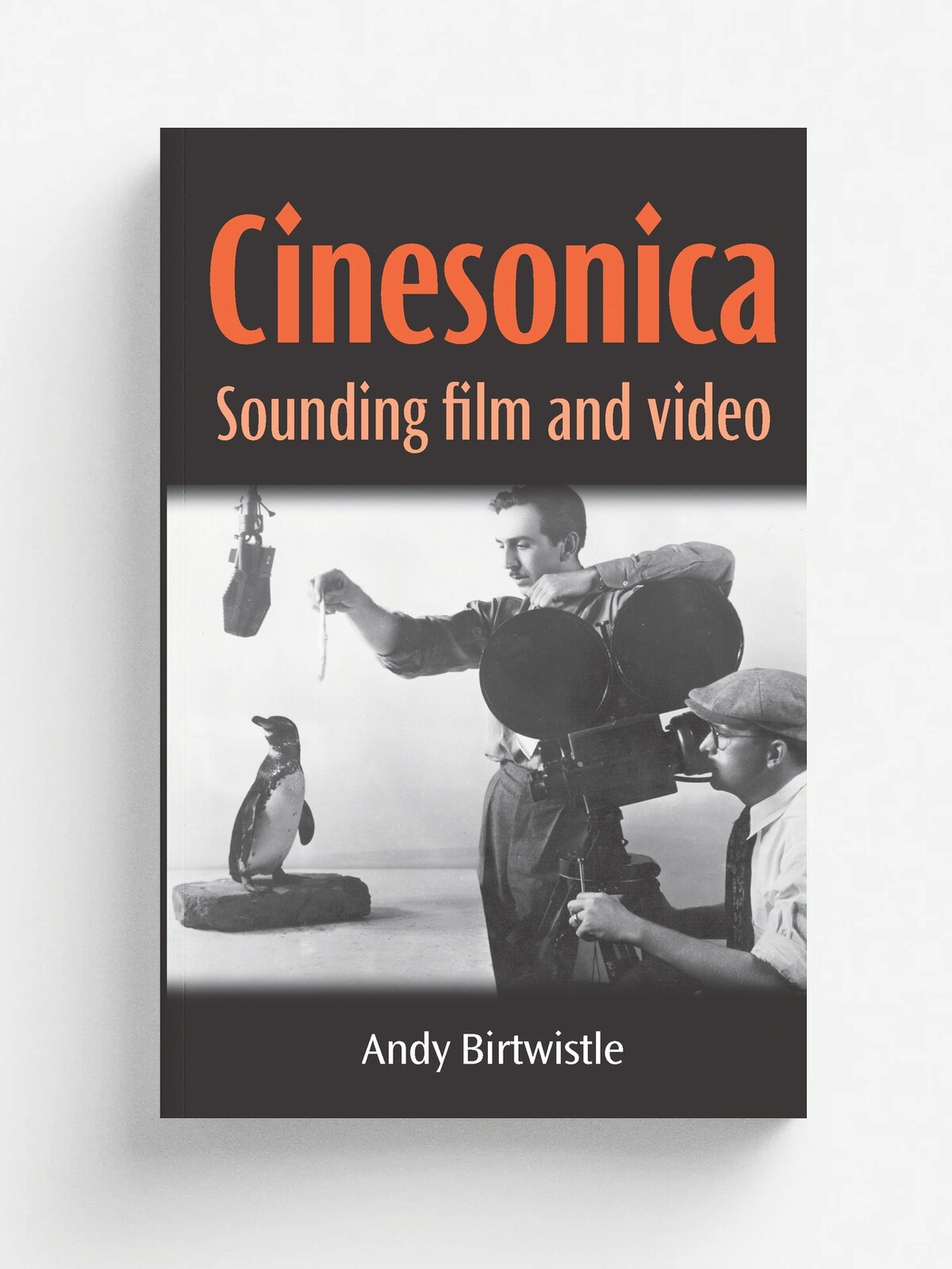 Cinesonica. Sounding Film and Video